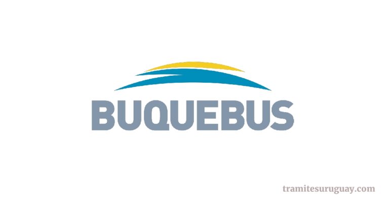 ️ Buquebus - Horarios y Líneas