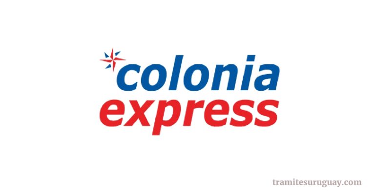 ️ Colonia Express - Horarios y Líneas