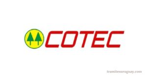 ️ COTEC - Horarios y Líneas